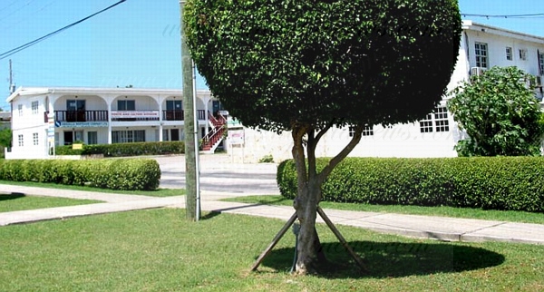 Pictures of Buildings in Anguilla - Land Marks - Anguilla Buildings